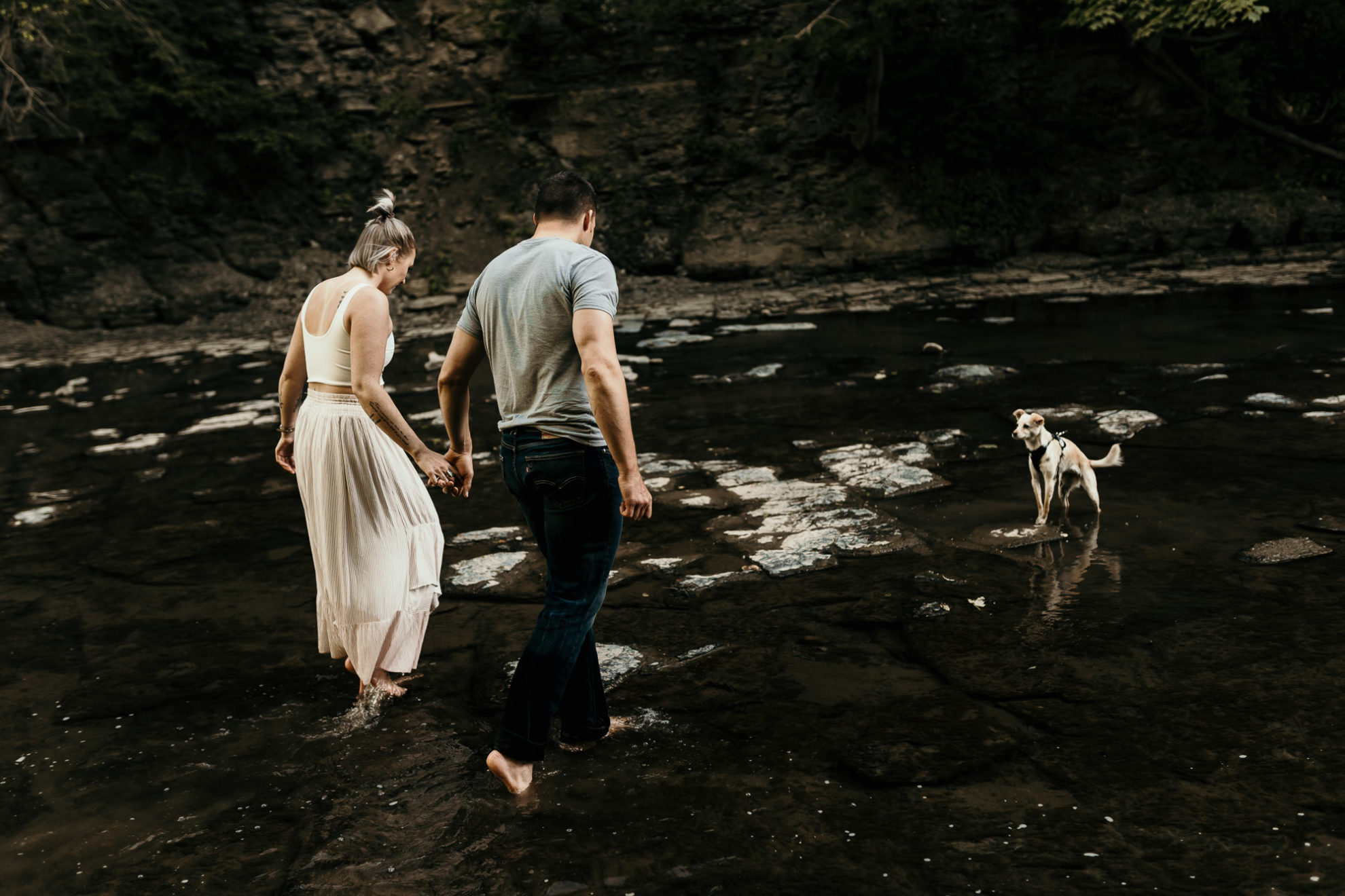Jenna & Bill | East Aurora, NY - Site
